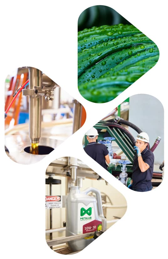 Sostenibilidad: El pilar de la economía circular | METALUB ...