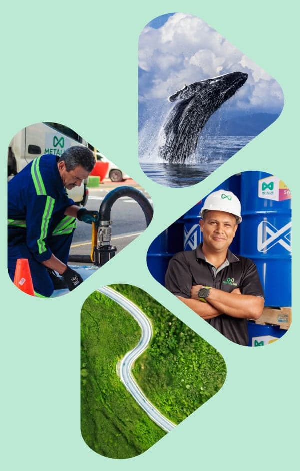 METALUB | Lubricantes sostenibles automotrices y de alta calidad hechos ...